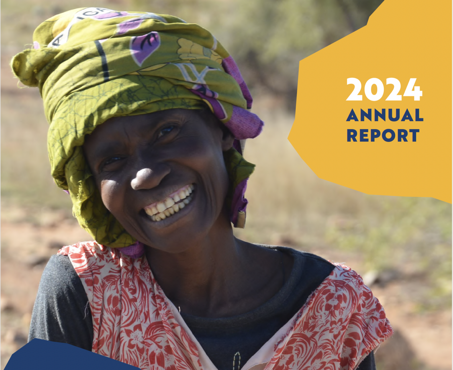 Driving Impact Through Collaboration: RMI Launches 2024 Annual Report ...